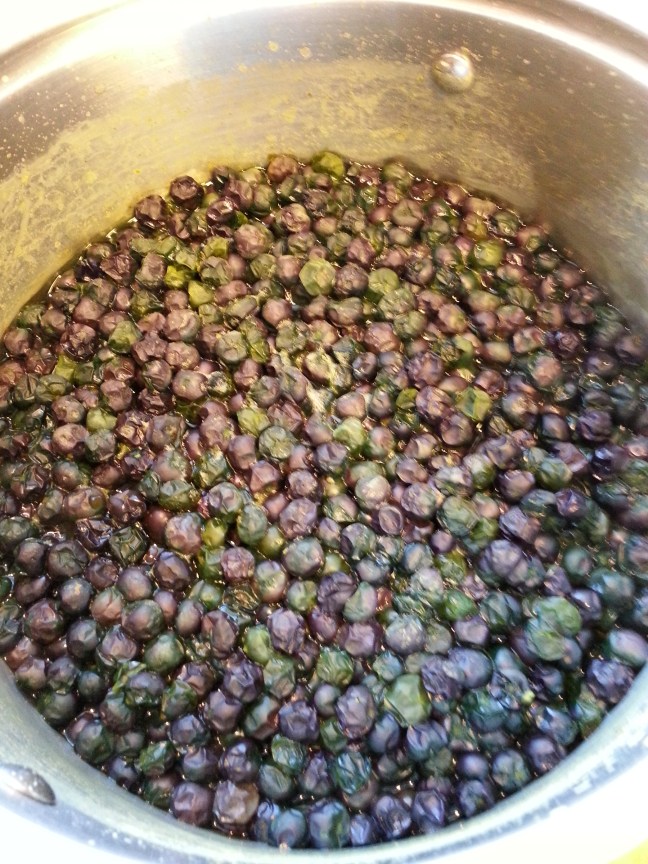 Garden Huckleberry: A Completely Nutty Science Experiment!!! – Crazy ...