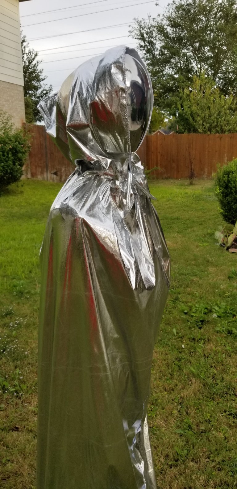 Silver Faceless Aliens – Crazy Green Thumbs