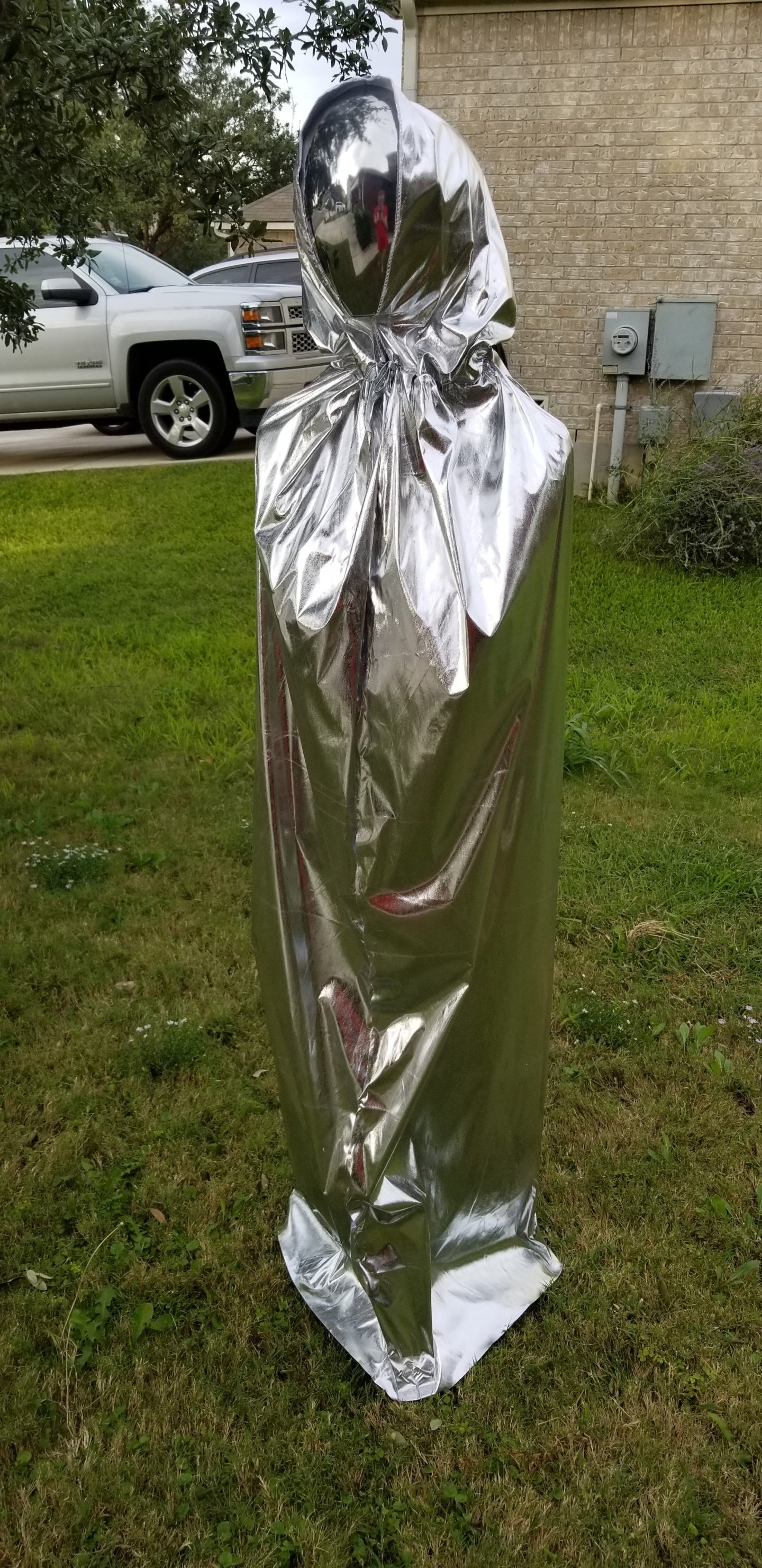 Silver Faceless Aliens – Crazy Green Thumbs