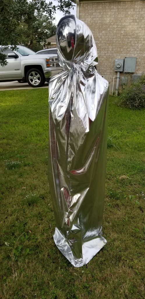 Silver Faceless Aliens – Crazy Green Thumbs