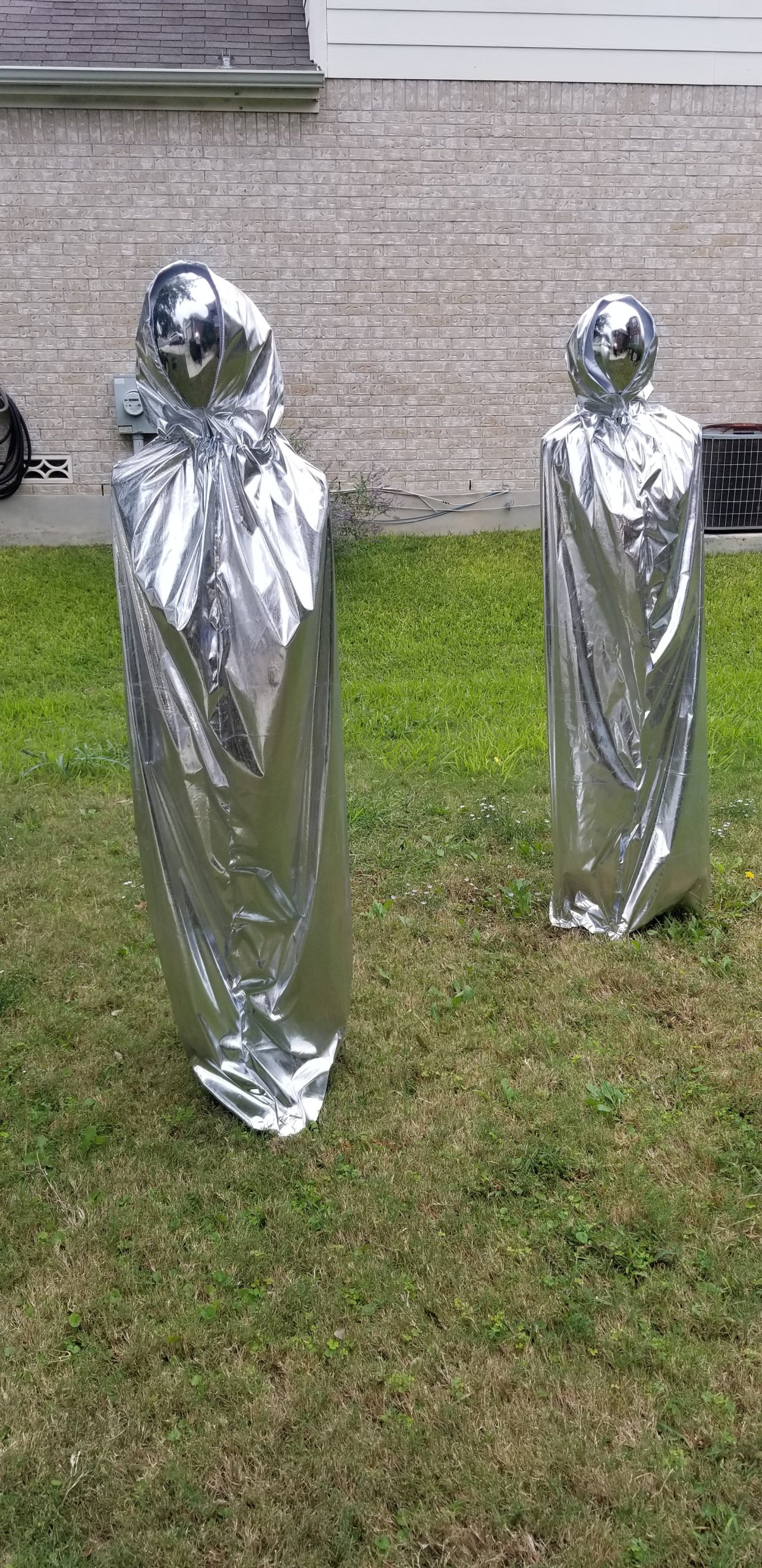 Silver Faceless Aliens – Crazy Green Thumbs