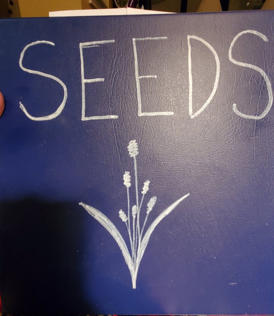 Conquering Seed Packet Clutter – Crazy Green Thumbs