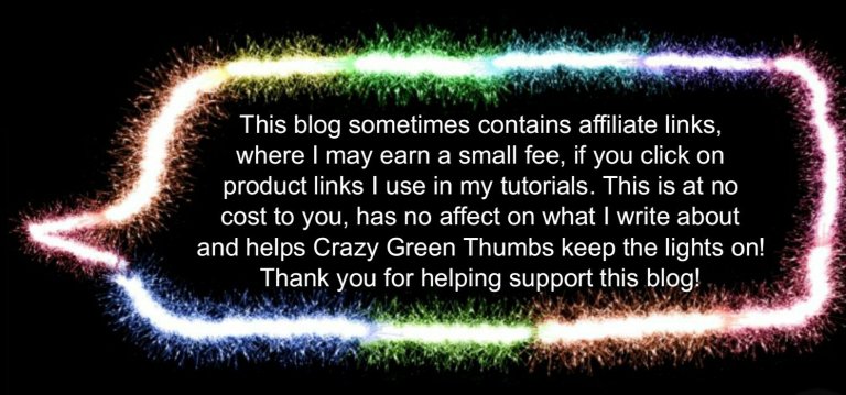 Giving Thanks – Crazy Green Thumbs