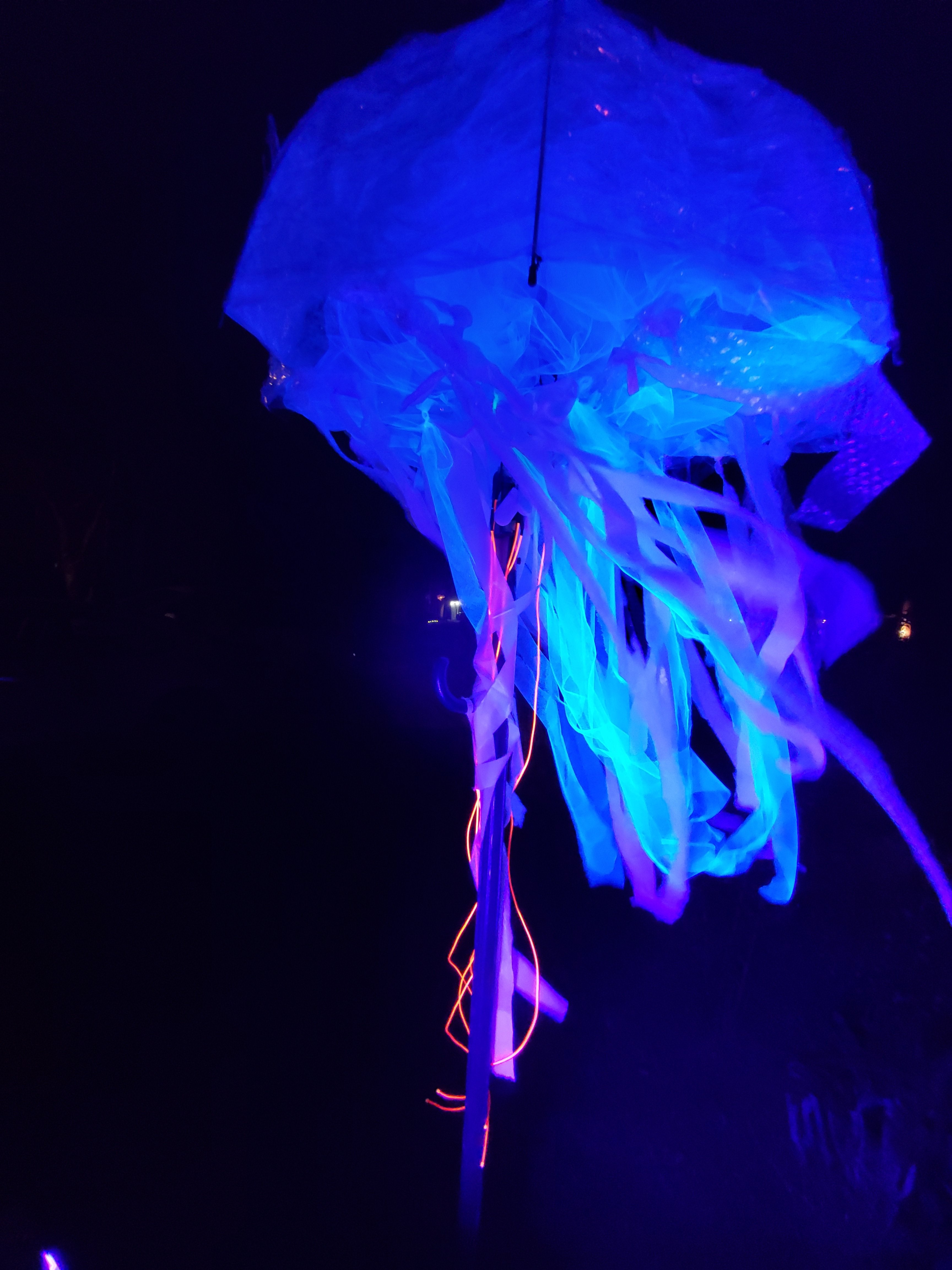 Glowing Jellyfish: Outdoor Halloween – Crazy Green Thumbs