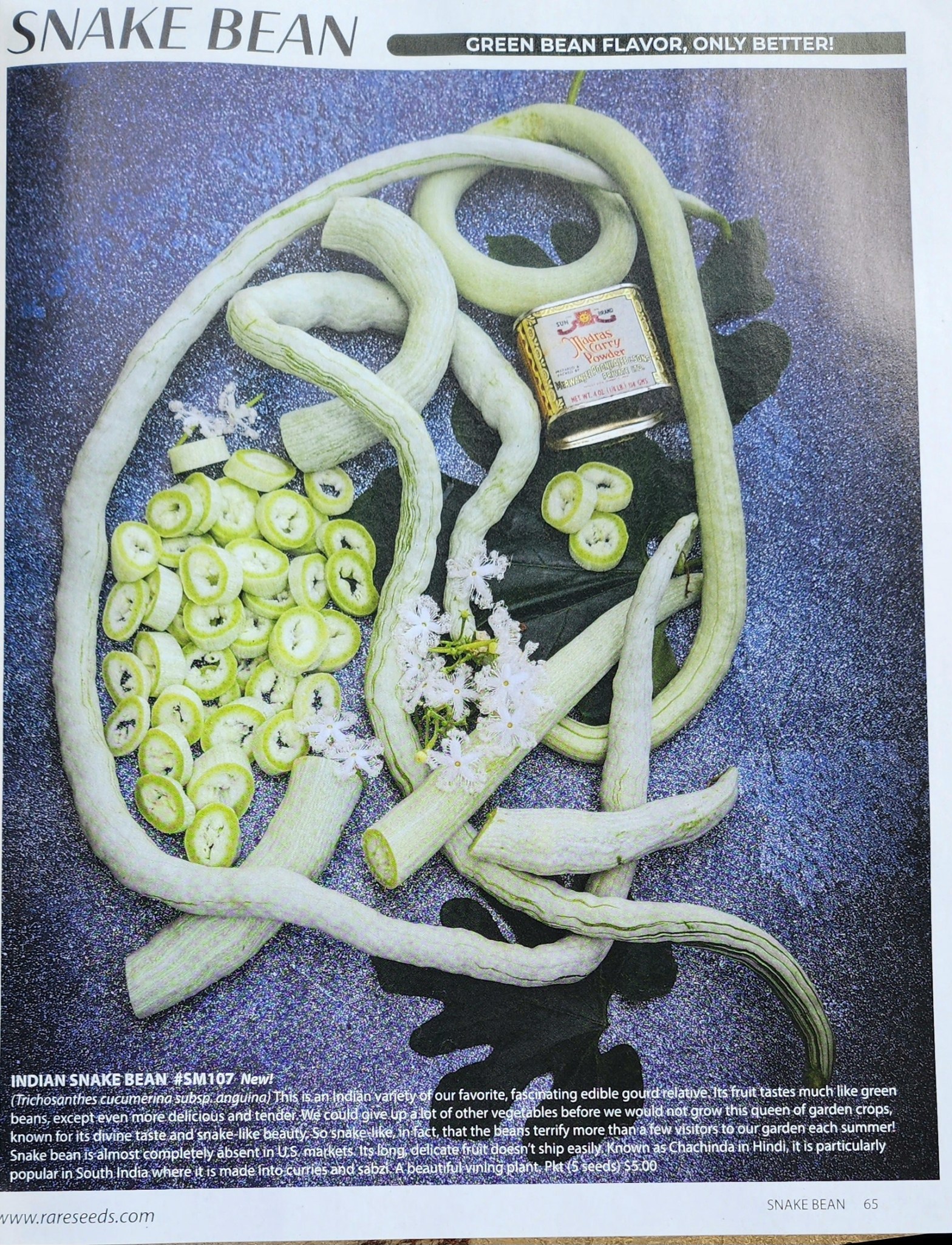 Like Green Beans… But Better? – Crazy Green Thumbs