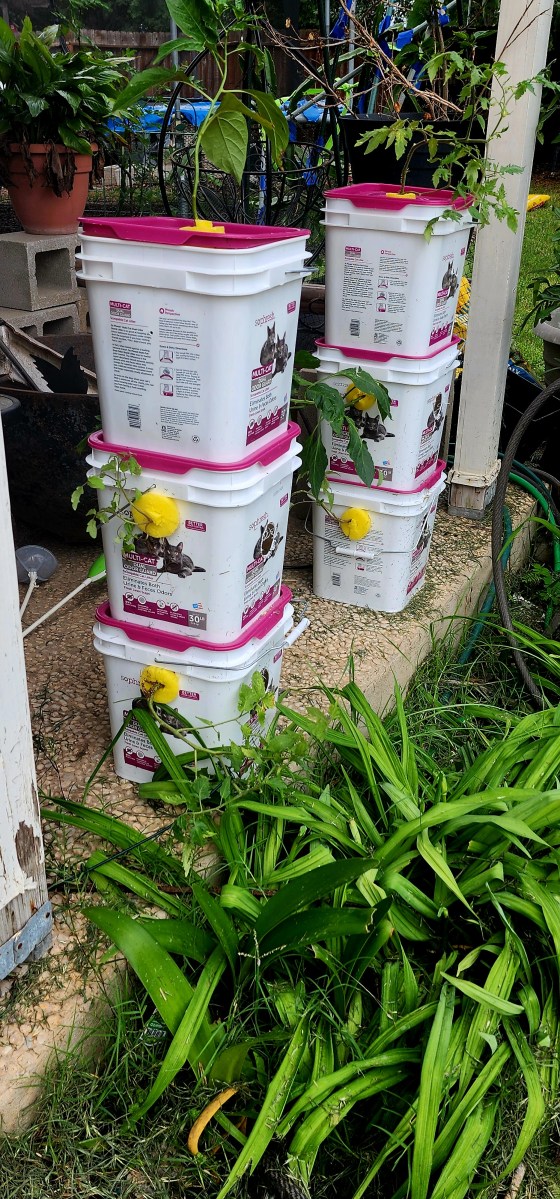 Off Grid Hydroponic Buckets – Crazy Green Thumbs