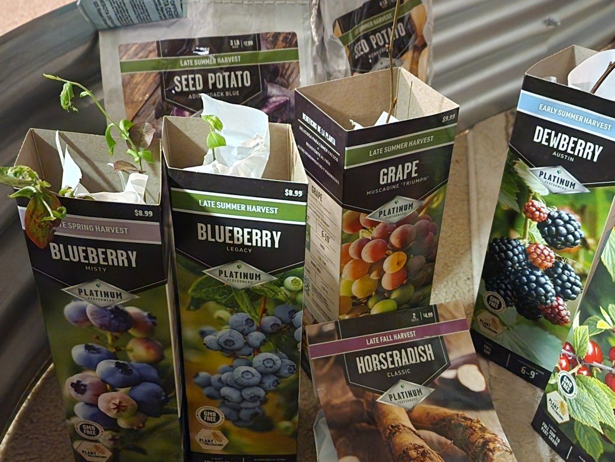 Winter: Garden Planning – Crazy Green Thumbs