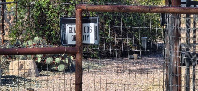 My life is a scavenger hunt! – Crazy Green Thumbs